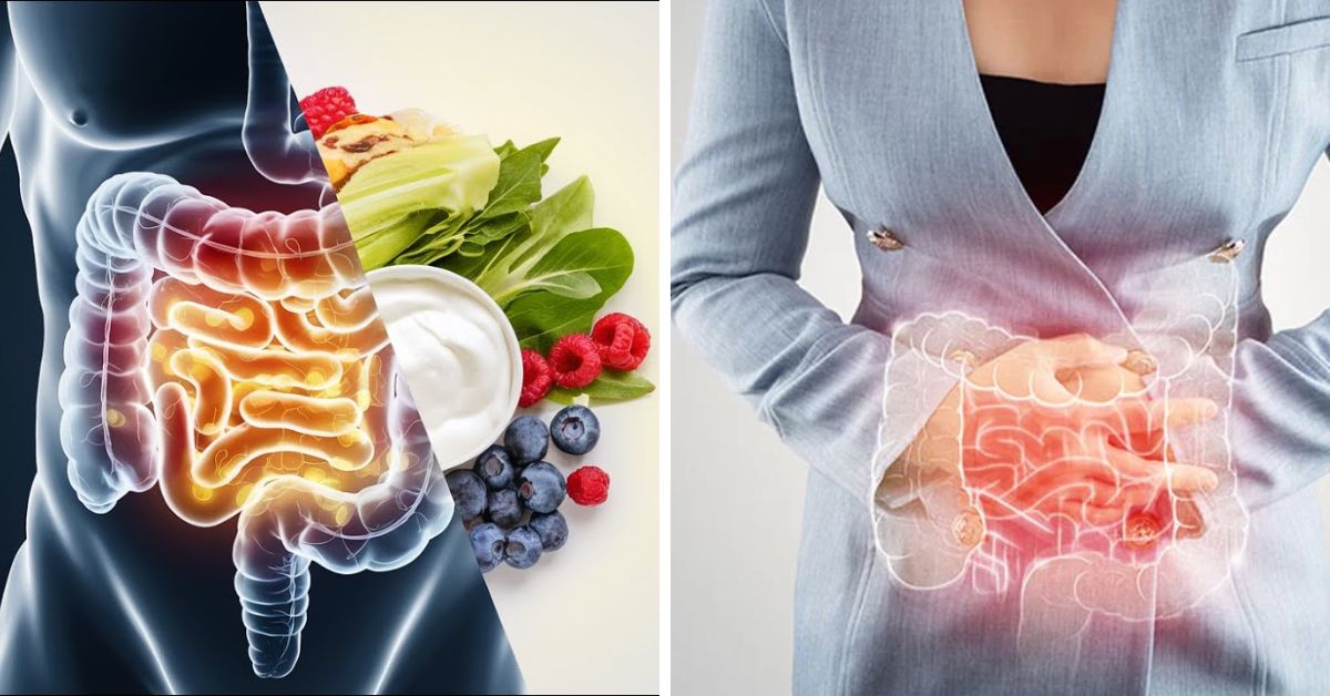 Why Gut Health Matters for Immune Support